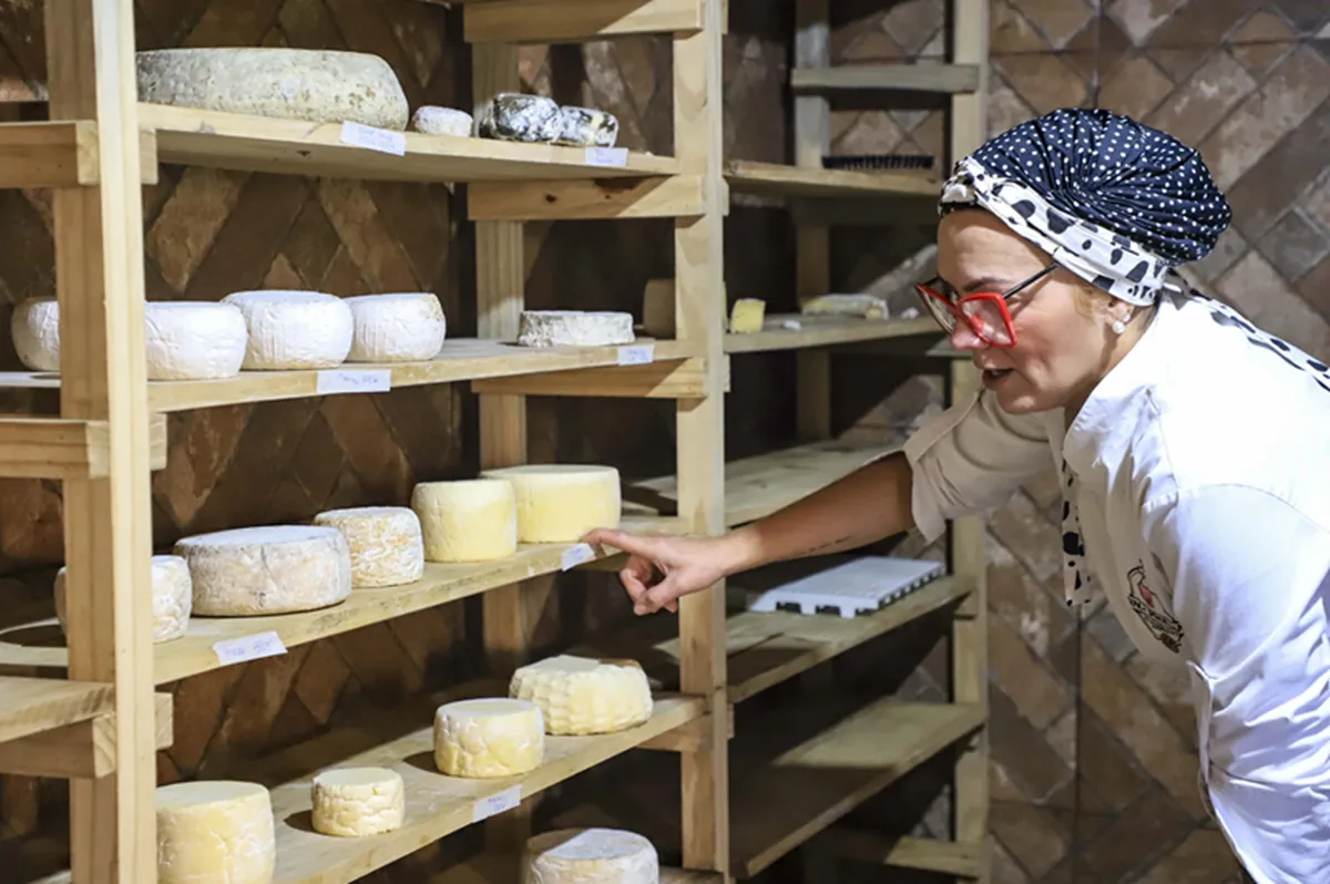 Como a Queijaria Vaca Profana Conquistou 3 Medalhas? - 99 Bairros - São José dos Pinhais